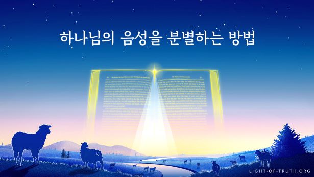 사랑에 관한 성경 구절 14가지 — 하나님은 사랑이시라